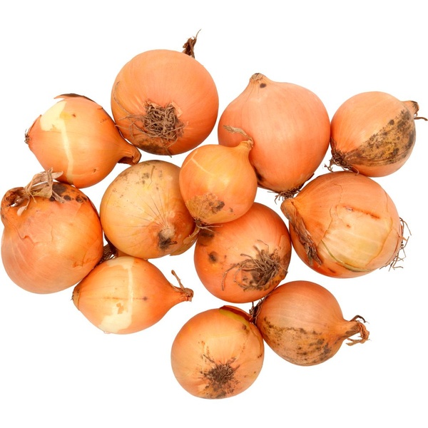 SPAR | uien biologisch - je vindt het bij SPAR